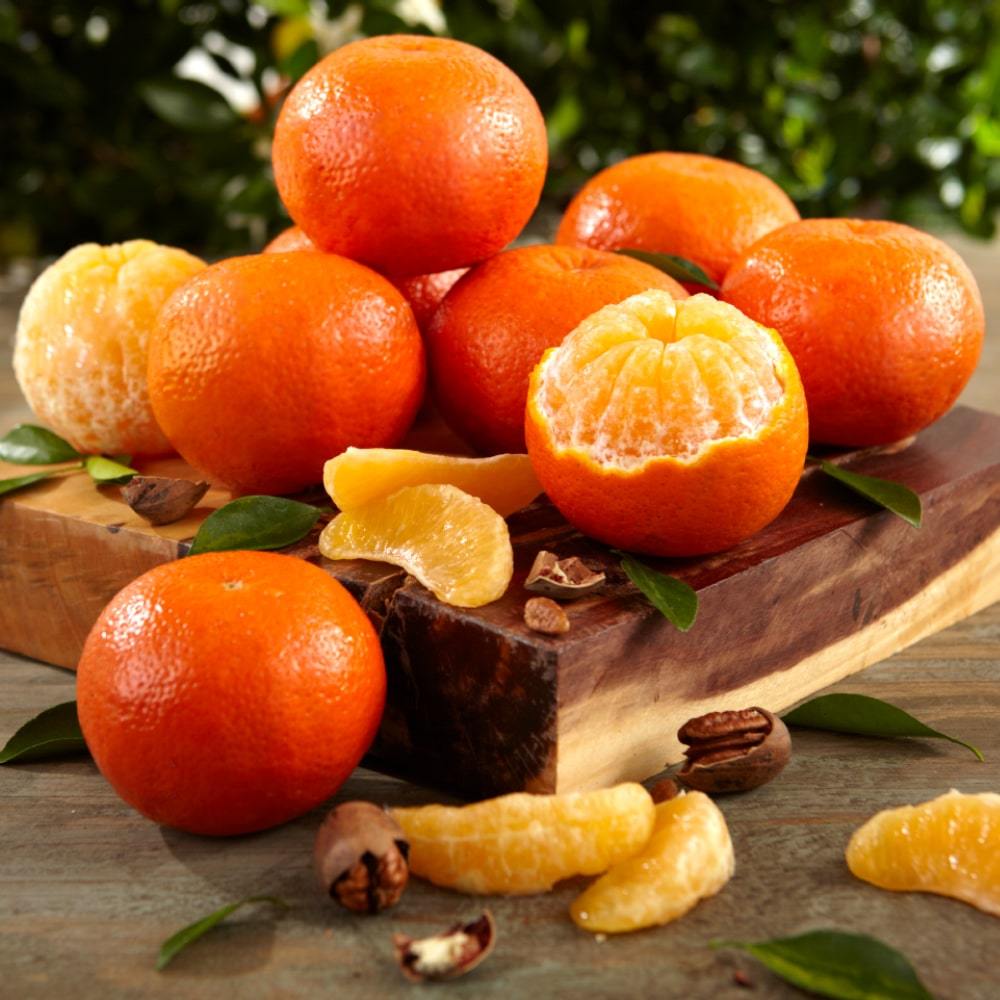 Temples, Temple Oranges | phillipwhidden.com